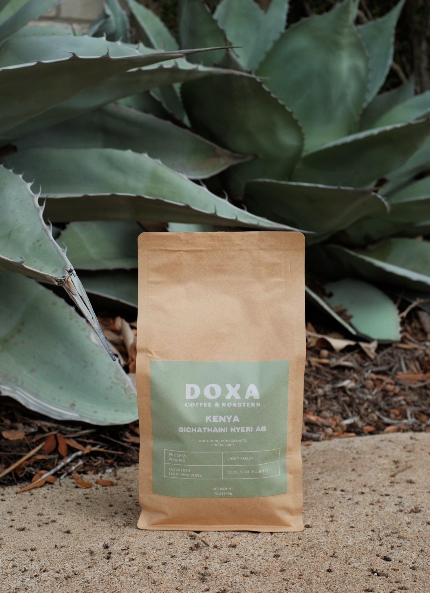 Retail Coffee – Doxa Coffee Roasters